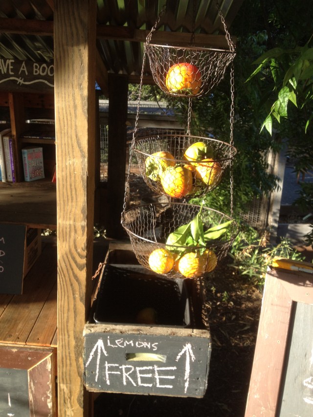 Challenges – Urban Farm Stands