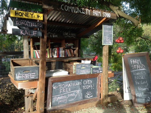 Contact – Urban Farm Stands