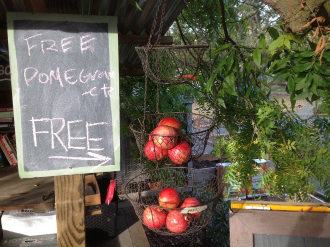 Los Altos Hills – Grape and Apple Farm Stand harvest and share – Urban ...