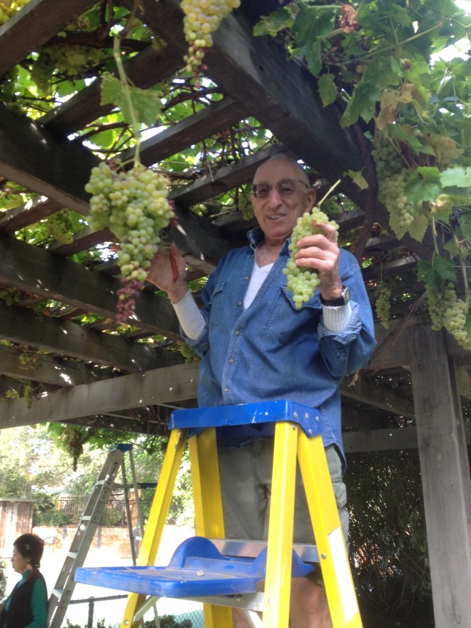 Los Altos Hills Harvest Event – Urban Farm Stands