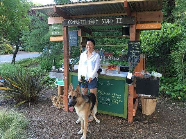 LAH Community Farm Stand II – Urban Farm Stands
